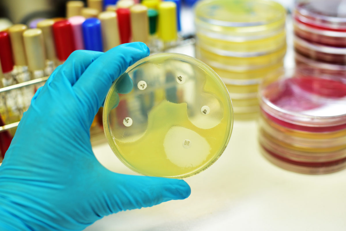 CGMP Archives - Priority One Vitamins Blog